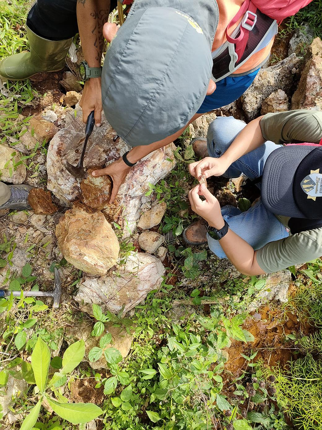 Geofix | Our Projects